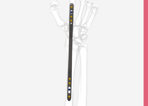 Skeletal Dynamics - Premier Surgical